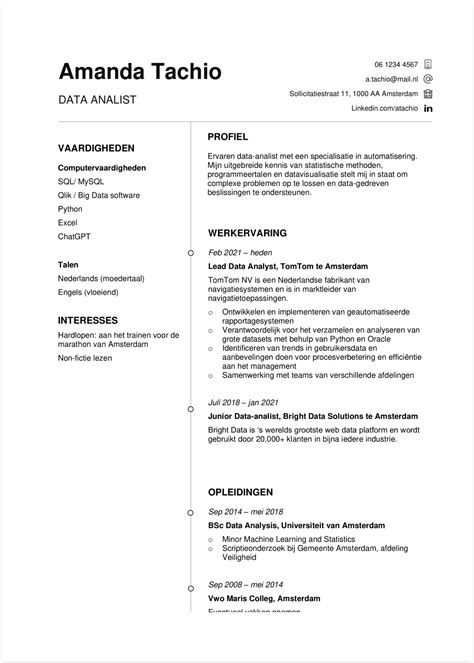 Professioneel Cv Data Analist Voorbeeld Beaksnl