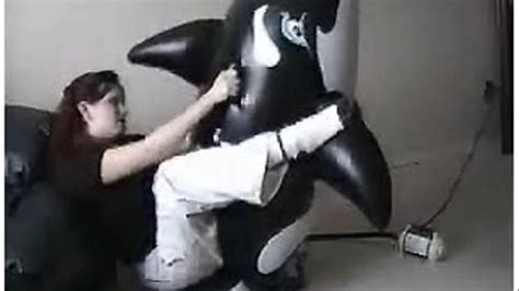 Rene Shamu Frisky Business Inflatables Clips4sale