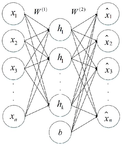 Basic Autoencoder Model Download Scientific Diagram