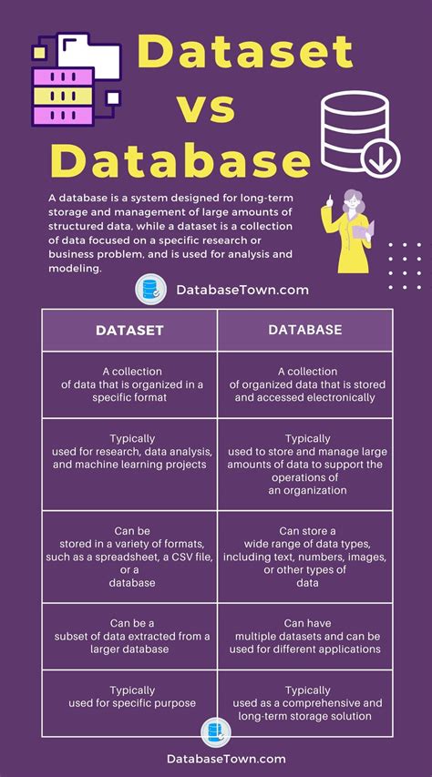 Dataset Vs Database Key Differences