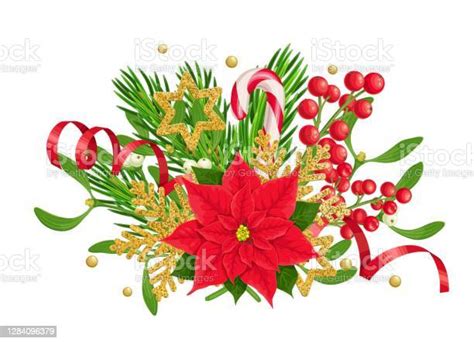 포인세티아 전나무 나뭇가지 홀리 겨우살이의 Xmas 전통 장식 흰색에 고립 된 벡터 일러스트 0명에 대한 스톡 벡터 아트 및 기타 이미지 Istock