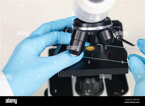 Scientist Examining Sample On Slide Under Microscope Closeup Stock