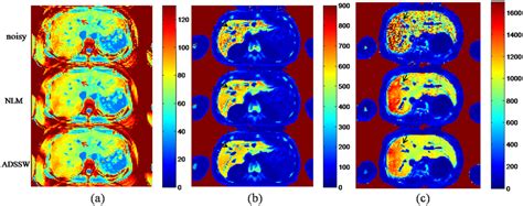 R2 Mappings Generated From The Original Nlm And Adssw Filtered In Download Scientific