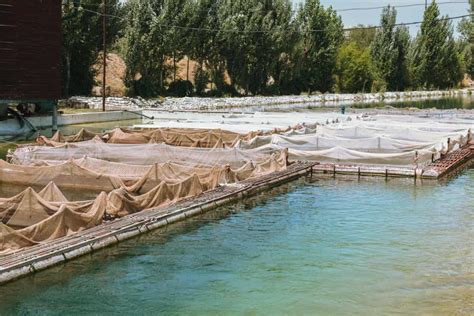 Sustainable Fish Farming Zero Waste Fish Farming Practices