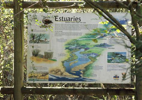 Nature On Your Doorstep Nahoon Estuary Nature Reserve Re Visited