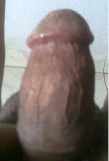 Amateur Sex Pictures And Xxx Homemade Albums Mylustcom Page 303