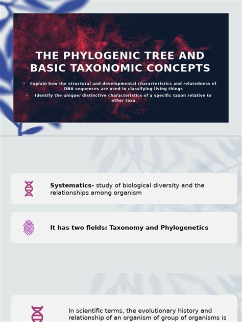 Dna And Taxonomy In Phylogenetics Pdf Phylogenetics Phylogenetic Tree