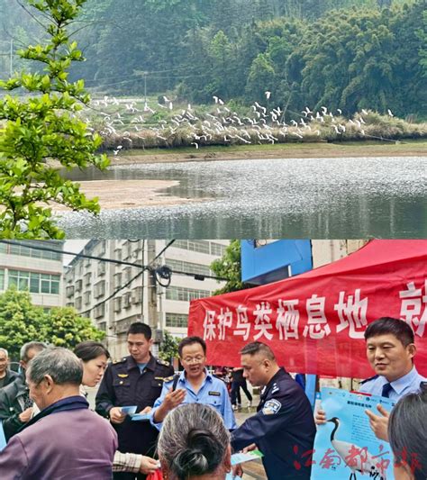 上犹开展2024年“爱鸟周”活动 江南都市网