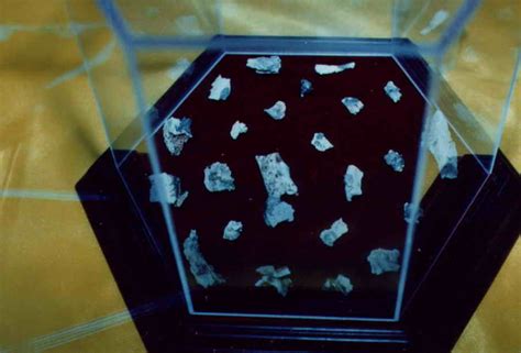 宣化上人舍利－－学佛网