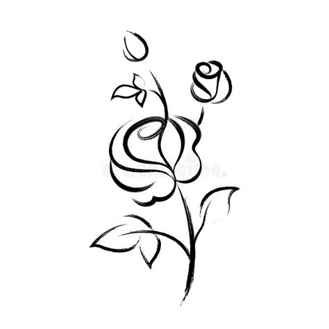 Rosa Dibujada De La Mano Negra Aislada En El Fondo Blanco Ilustraci N Del Vector Ilustraci N