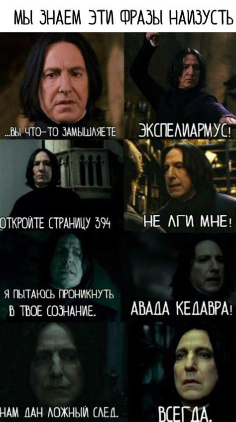 Любовь навсегда Humor