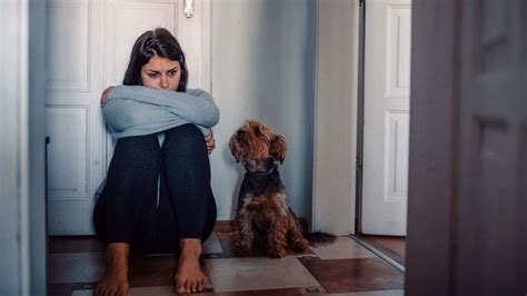 How To Rebuild Trust In A Relationship Tips On How To Regain Trust