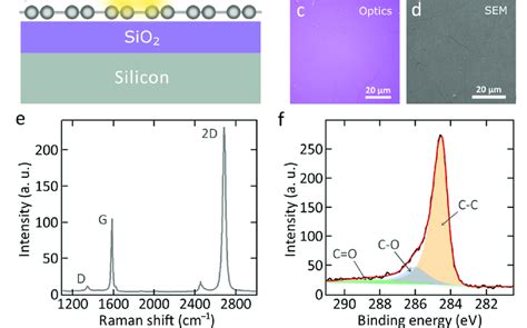 A The Scheme Of The Ellipsometry Measurements B Afm Topography