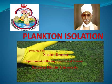 Plankton Isolation Classification Pptx