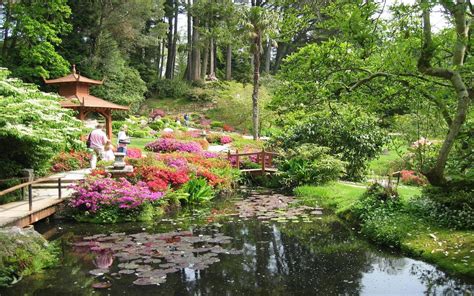 Japanese Flower Garden Wallpapers Top Free Japanese Flower Garden