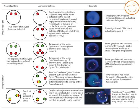 Fluorescence In Situ Hybridization