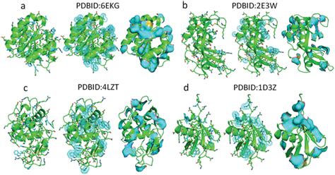 Illustrations Of Cyan Hydrophobic Side‐chains Protruding On Protein Download Scientific Diagram
