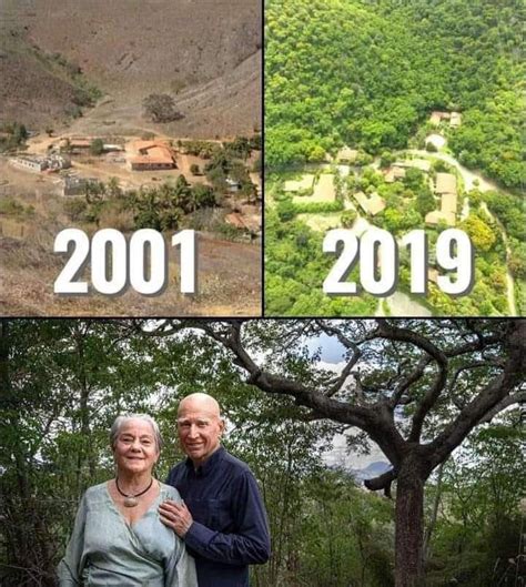 Couple Spent The Last Years Planting Million Trees To Bring Back A Destroyed Forest So