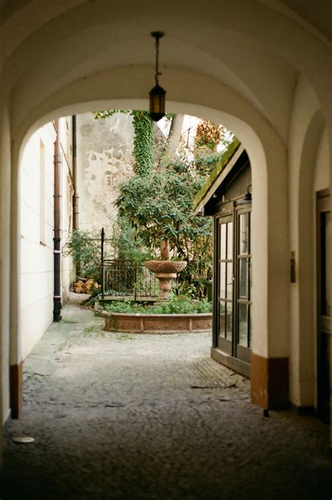 집 밖의 가벼운 건축 경치가 좋은 고요한 그늘 그림 같은 그림자 기이 한 나뭇잎 낭만적인 녹지 담쟁이덩굴 덩굴 돌 동화 러스틱 매력적인