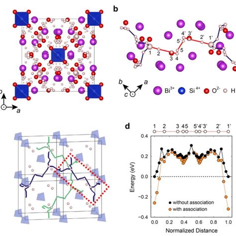Unique Three Dimensional Fast Proton Conduction Along Loosely Bonded Bio5 Download Scientific