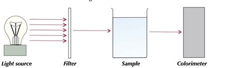 Diagram Of Complex Transition Metal Ions Quizlet