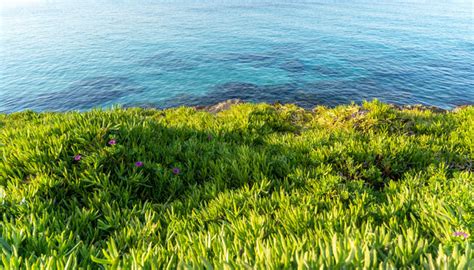 Freen Bilder Durchsuchen 1301 Archivfotos Vektorgrafiken Und Videos