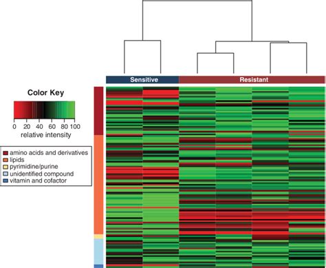 Hierarchical Clustering Shows Clear Separation Of The Metabolite Download Scientific Diagram