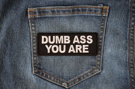 Dumb Ass You Are Patch Iron On Offensive Patches By Ivamis Patches