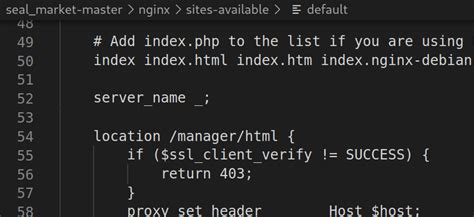 Hackthebox Seal Recharging Runtime