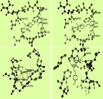 Shows Binding Of Acyl Urea Derivatives With Tubulin Molecules [10 13