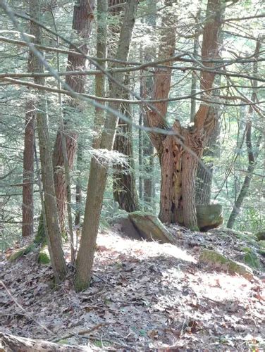 2023 Best Views Trails In Fiskdale Alltrails