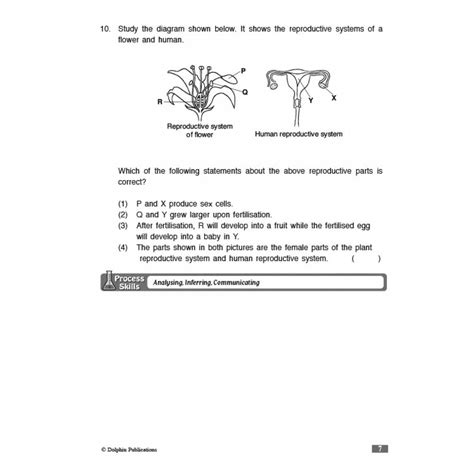 Science Process Skills Primary 5 Science Process Skills Primary 5