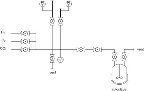 Flow Scheme Of The Reactor Setup With Gas Manifold Download Scientific Diagram