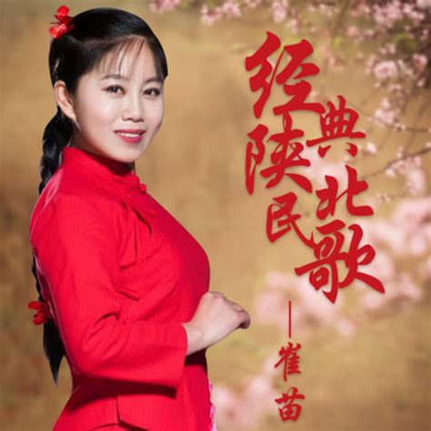 陕北是个好地方 Remix Youtube Music