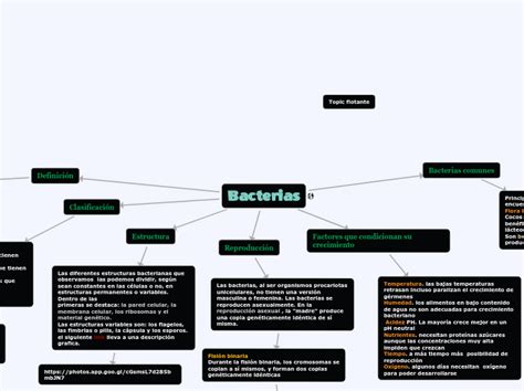 Bacterias Mapa Conceptual Morfologia Jlibalwsap