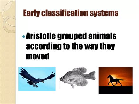 Classification Pdf Gardening Home And Garden