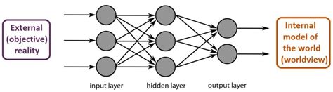 The Observer Effect In A Multi Layered Neural Network