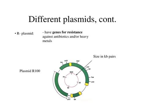 Ppt Bacterial Plasmids Powerpoint Presentation Free Download Id
