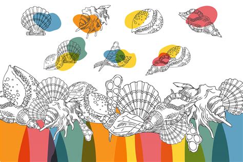 Seashells Concept On Behance