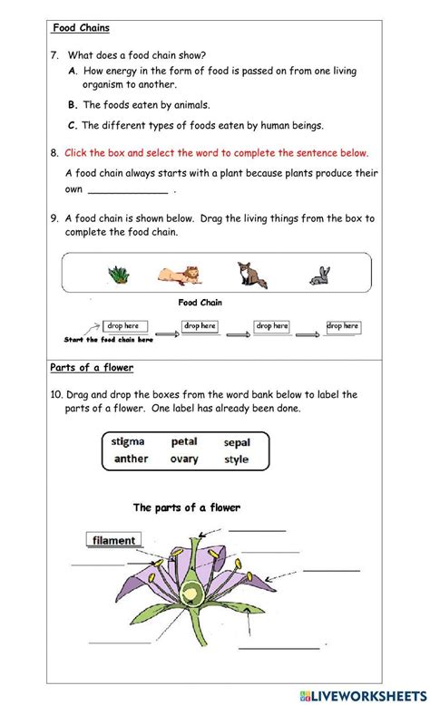3rd grade science worksheets word lists and activities