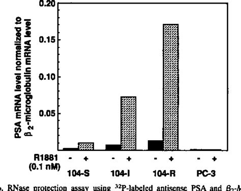 Figure 6 From Increased Androgen Receptor Activity And Altered C Myc