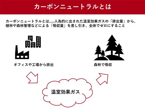 環境整備とは 事前準備や実施の方法、取り組むポイントを解説 ツギノジダイ