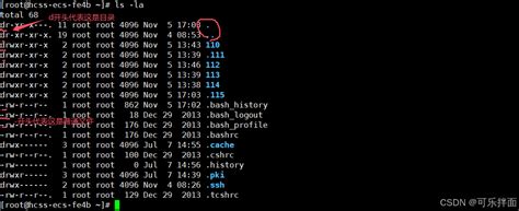 Linux基础指令1 Csdn博客