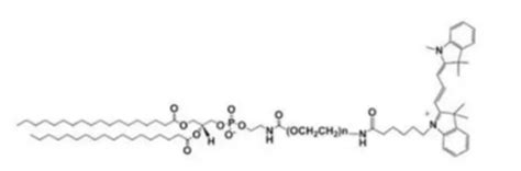 Dspe Peg2k Cy3；磷脂聚乙二醇菁染料cy3；dspe Peg2000 Cy3 Udp糖丨mof丨金属有机框架丨聚集诱导发光丨荧光标记推荐西安齐岳生物