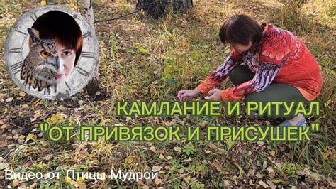 Как избавиться от привязок и присушек Youtube