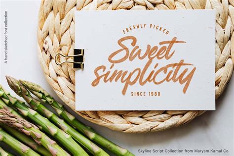 Skyline Script Font Collection ReveryWorks