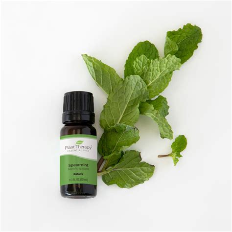 Spearmint Essential Oil Plant Therapy