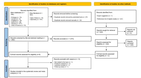 Flow Chart Showing The Search Strategy Identification And