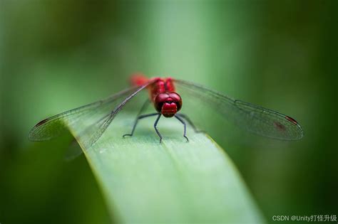 Gsonformat：json与java对象之间的桥梁 Csdn博客