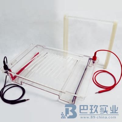 北京六一DYCP 32C型琼脂糖水平电泳仪 大号 电泳槽 参数报价